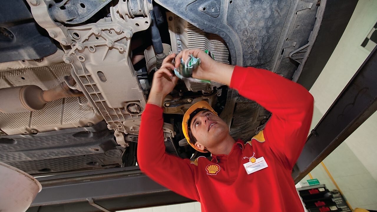 Auto & Truck Dealers | Business